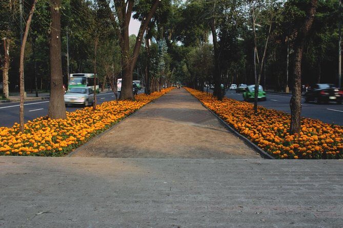 Mexico City: Roma & Condesa Private & Personalized Walking Tour - The Final Word