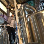 Mexico City Tasting Tour and Craft Beer Experience - What to Expect from the Mexico City Craft Beer Tour