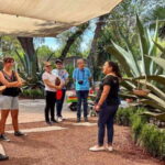 Mexico City: Teotihuacan, Tlatelolco & Basilica of Guadalupe - Detailed Breakdown of the Itinerary