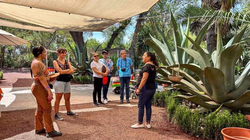 Mexico City: Teotihuacan, Tlatelolco & Basilica of Guadalupe - Detailed Breakdown of the Itinerary