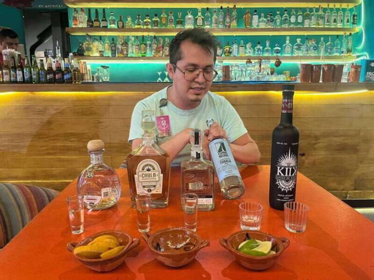 Mexico City: Tequila and Mezcal Museum Tour with Tasting - Practical Details & Considerations