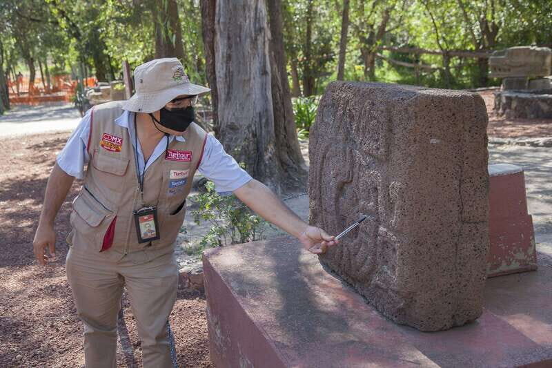 Mexico City: Trip to Teotihuacan Pyramids & Guadalupe Shrine - The Practical Side: What You Need to Know