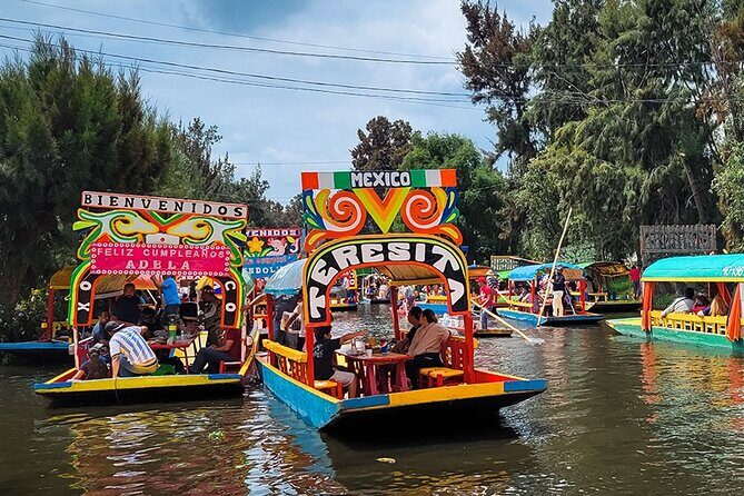Mexico City: Xochimilco, Coyoacán and University City Tour - Pricing and Overall Value