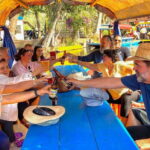 Mexico City: Xochimilco Trajinera Party, Mariachi & Drinks - Who Will Love This Tour?