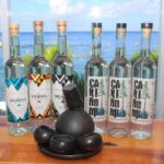 Mezcal and Tequila Tasting Room - Who Will Love This Tour?