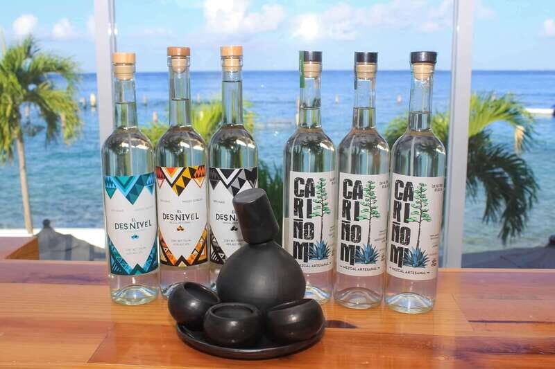 Mezcal and Tequila Tasting Room - Who Will Love This Tour?