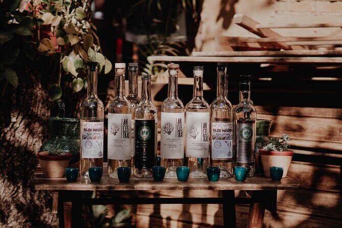 Mezcal & Mole by a Certified Sommelier - Why This Tour Stands Out