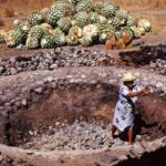 Mezcal Tasting -Masterclass + Blind tasting- - What Do Real Participants Say?