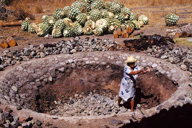 Mezcal Tasting -Masterclass + Blind tasting- - What Do Real Participants Say?