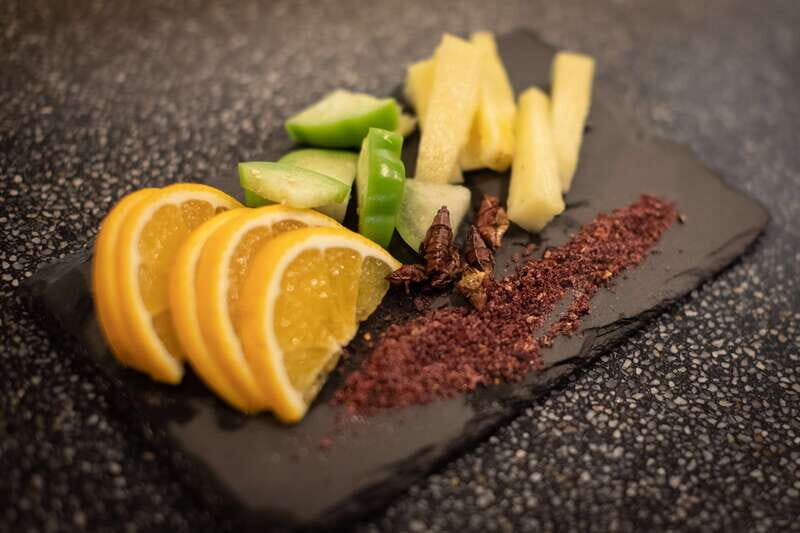 Mezcal Tastings by El Tasting Room - The Highlights in Detail