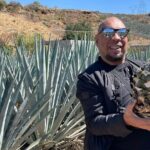 Mezcal & Tequila Tasting at Mexico City with full dinner - The Value of a Private, Guided Tasting