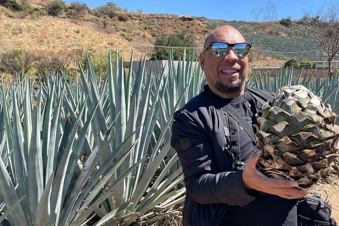 Mezcal & Tequila Tasting at Mexico City with full dinner - The Value of a Private, Guided Tasting