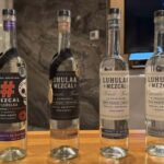 Mezcales tradicionales: Experiencia de Sabores con Historia - In-Depth Itinerary Breakdown