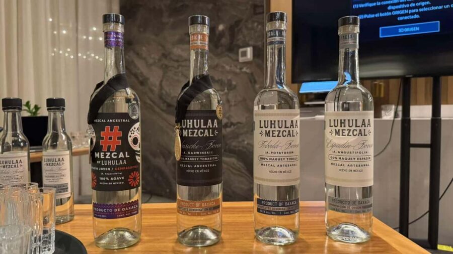 Mezcales tradicionales: Experiencia de Sabores con Historia - In-Depth Itinerary Breakdown