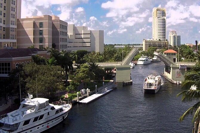 Miami and Fort Lauderdale Private City Tour - Insights from Reviews and What to Expect