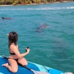 Miami Biscayne Bay Boat Tour with Sandbar Experience. - What Makes This Tour Stand Out?