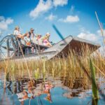 Miami: Everglades National Park Airboat Tour & Wildlife Show - The Scenery and Wildlife: What You’ll See