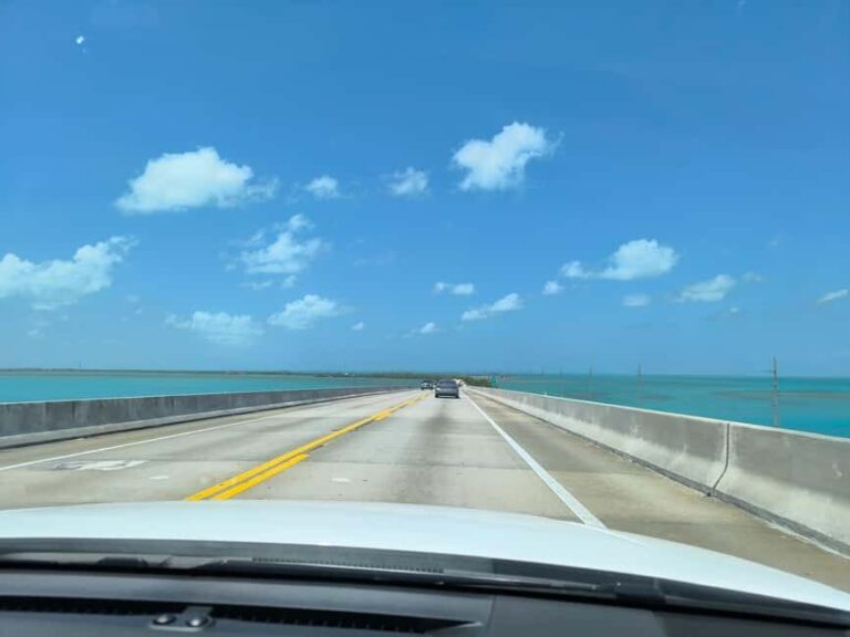 Miami: Full-day tour of the Keys in a convertible Mustang in French - Who Is This Tour Best For?