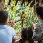 Miami: Jungle Island General Admission - The Value of Jungle Island