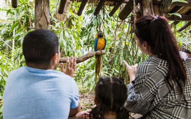 Miami: Jungle Island General Admission - The Value of Jungle Island