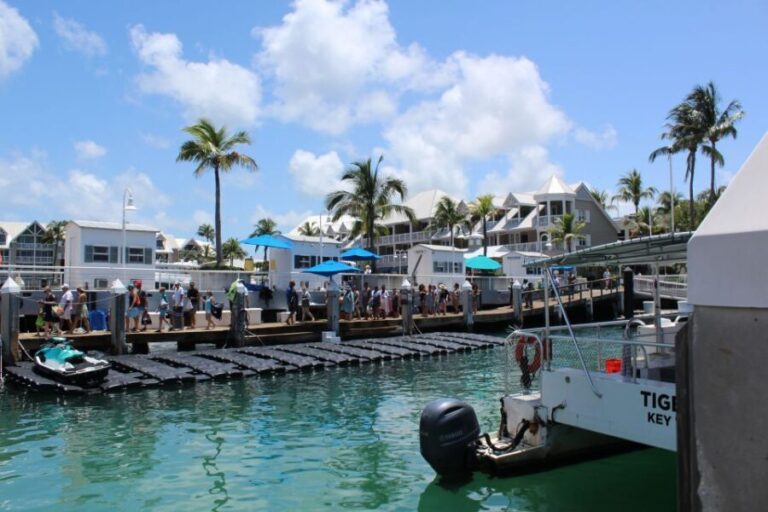 Miami: Key West Boat Tour w/ Optional Snorkeling & Open Bar - What Travelers Are Saying: The Good and the Not-So-Good