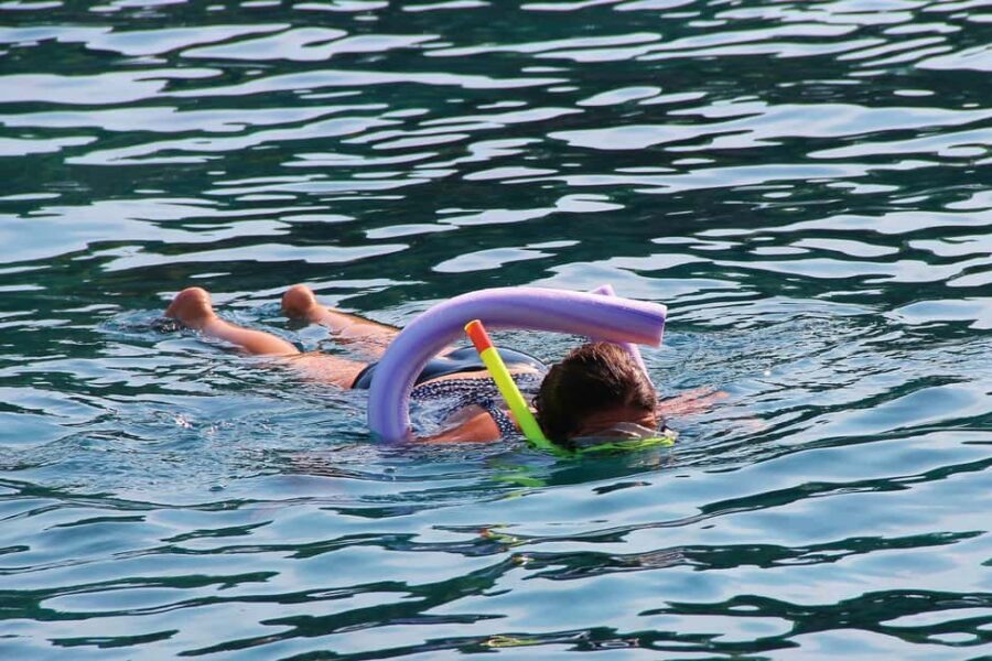 Miami Snorkeling for Beginners from Bayside Market Place - The Value of the Experience