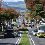 Middle Earth Private Tour from Tauranga Cruise Port. Tickets incl - Why This Tour Offers Value