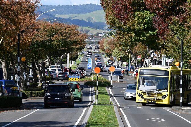Middle Earth Private Tour from Tauranga Cruise Port. Tickets incl - Why This Tour Offers Value