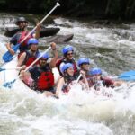 Middle Ocoee River Whitewater Rafting Trip - Most Popular - An In-Depth Look at the Middle Ocoee River Rafting Experience