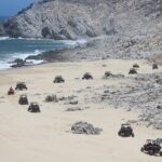 Migriño Beach Razor UTV Adventure - Authentic Experiences and Highlights from Reviews