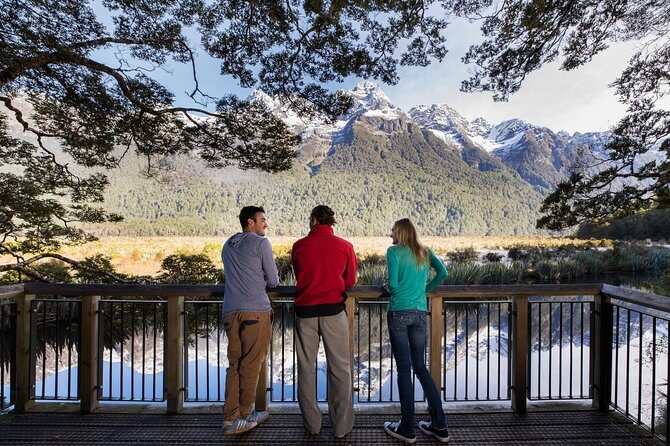 Milford Sound Coach & Cruise ex Te Anau Stunning Views with Lunch - The Sum Up