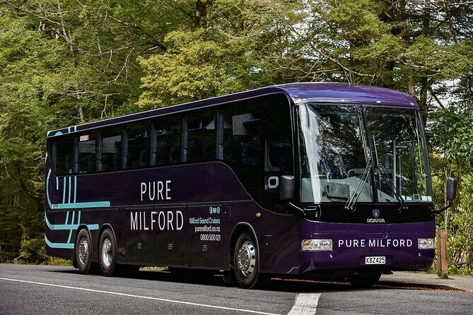 Milford Sound Coach & Cruise Tour from Te Anau - The Overall Experience and Value