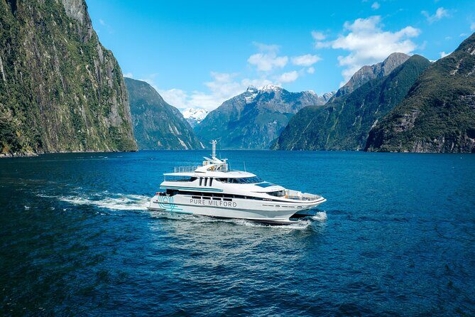 Milford Sound Cruise - Wildlife Encounters: Seals, Dolphins, and More