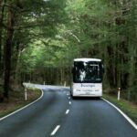 Milford Sound Day Tour from Te Anau - Practical Tips for Your Trip