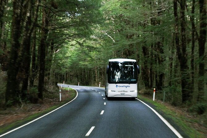 Milford Sound Day Tour from Te Anau - Practical Tips for Your Trip