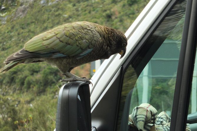 Milford Sound Discovery Tour - Value, Pricing, and Who This Tour is for