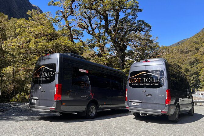 Milford Sound Full Day Tour from Te Anau with Cruise - Our Take on the Value and Suitability