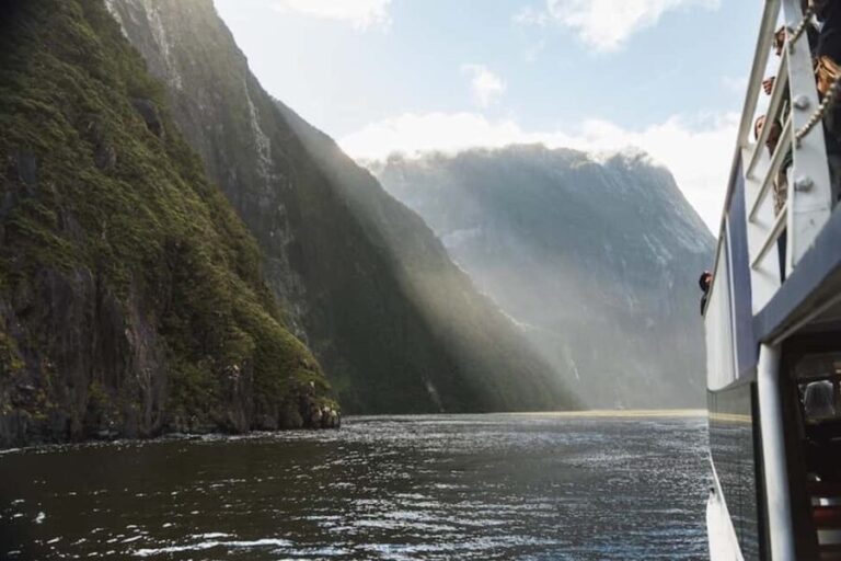 Milford Sound Heli-Cruise-Heli | 4.5hr Scenic Experience - What Makes This Tour Stand Out