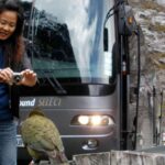 Milford Sound Premium Day Tour and Cruise from Te Anau - Practical Details for Your Day