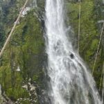 Milford Sound Small Group Day Tour From Queenstown - Analyzing the Value: Is it Worth It?