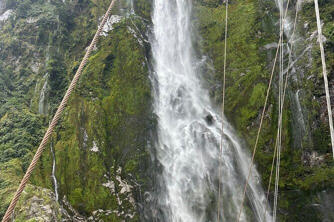 Milford Sound Small Group Day Tour From Queenstown - Analyzing the Value: Is it Worth It?