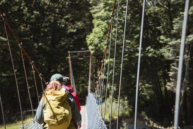 Milford Track Day Walk with Lake Te Anau Water Taxi - Authentic Experiences from Traveler Reviews