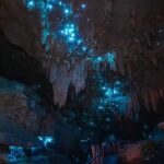 Milky Way Glowworm Cave Tour - Who Should Consider This Tour?