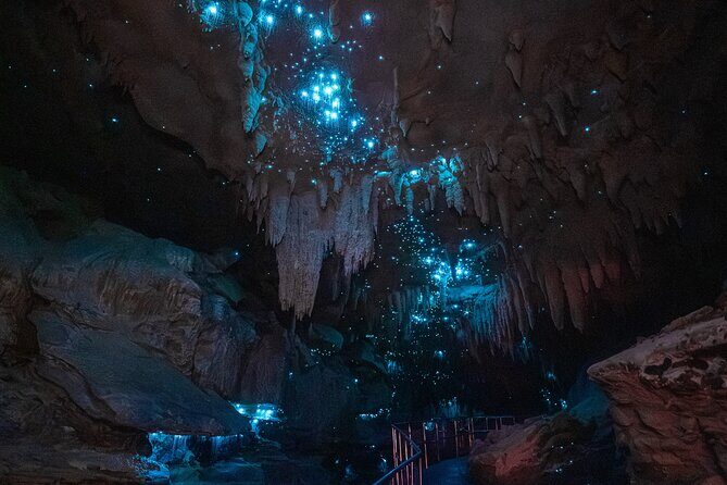 Milky Way Glowworm Cave Tour - Who Should Consider This Tour?