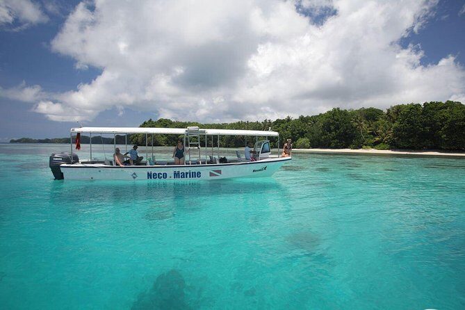 Milky Way, Shark City Island, Beach and Rock Island Tour - Who Will Love This Tour?