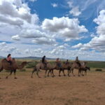 Mini Gobi, Orkhon, Tuvkhun Monastery & Kharkhorin 4-Day Tour - What the Tour Gets Right