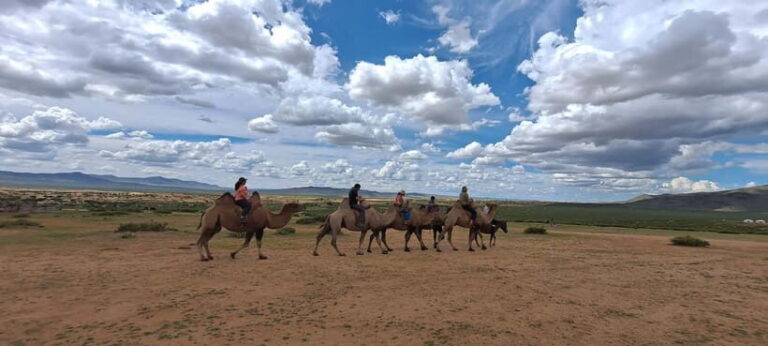 Mini Gobi, Orkhon, Tuvkhun Monastery & Kharkhorin 4-Day Tour - What the Tour Gets Right