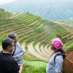 Mini Group: Longji Rice Terraced Fields and Minority Villages Tour - Visiting the Ancient Zhuang Village