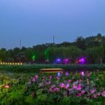 Mini Group Tour: Jingshan Hill, Beihai Park, Prince Kung's Mansion, Lama Temple - A Closer Look at the Tour