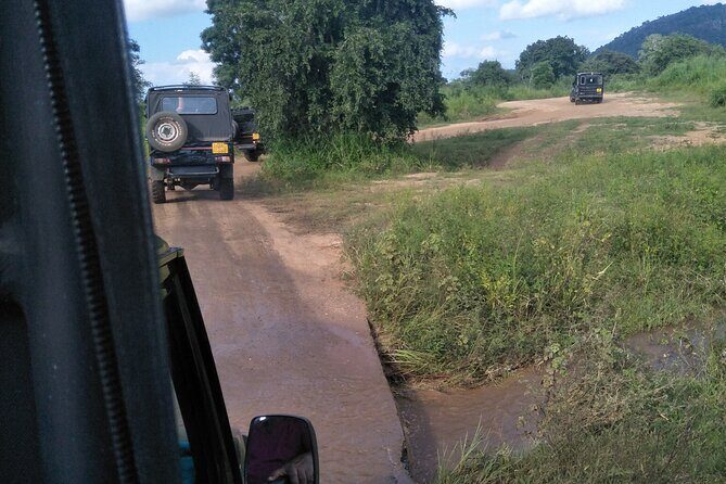 Minneriya / Kaudulla National Park Jeep Safari - The Itinerary and Experience